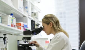 FEHB Highlights: Understanding Premiums and Premium Conversion